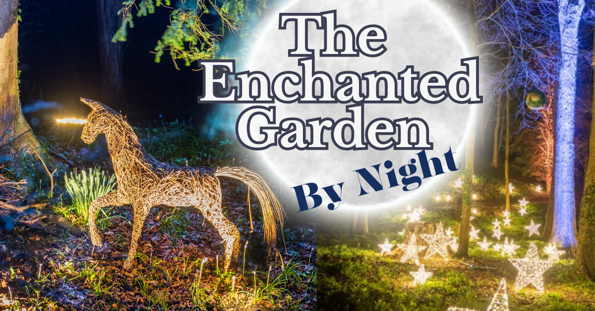 Enchanted Gardens At Night